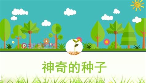 中班科学课件ppt《神奇的种子》ppt课件图片幼儿园课件网