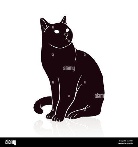 Chat Assis Sur Fond Blanc Banque Dimages Vectorielles Alamy