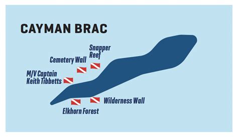 A Scuba Divers Guide To Cayman Islands Scuba Diving