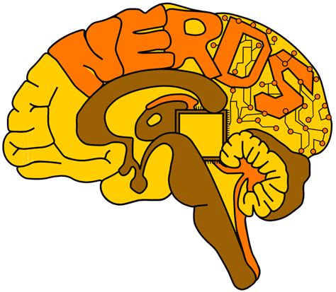 mtneuro