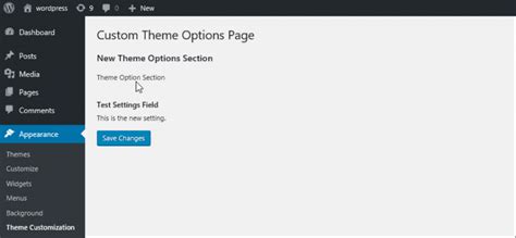 Wordpress Settings Api Creating Wordpress Theme Options Diy Guide
