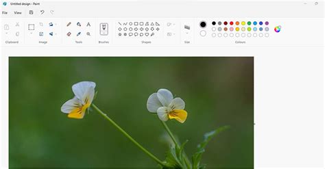 Must Know How To Convert Tiff To Png Without Losing Quality