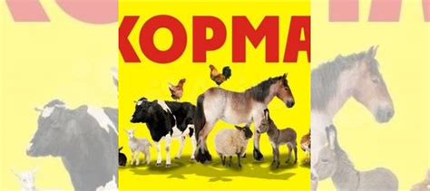 Корма для с/х животных и птицы купить в Канске | Животные и зоотовары ...