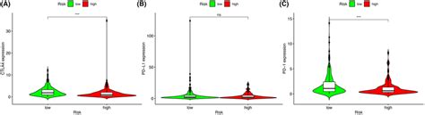 The Gene Expression Of Pd1 Ctla4 And Pd‐l1 In High‐risk And Low‐risk