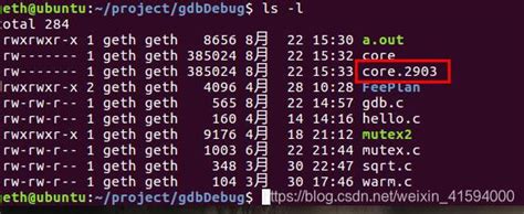 Linux调试段错误（吐核）设置段错误吐核 Csdn博客