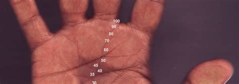 Palmistry Fate Line Your Fate Line Is The Key To Your Success