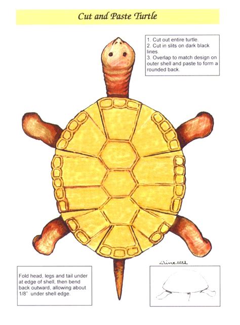 Click Here For Turtles Back Cut And Paste Exercise