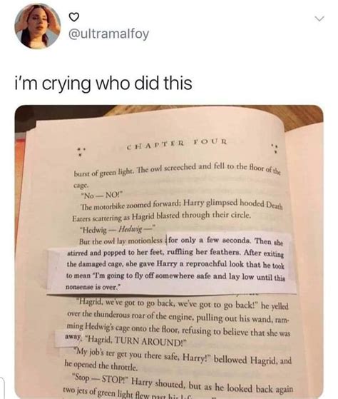 Pin By Heather Moxley On Harry Potter 🚂⚡️🏰 Harry Potter Memes Harry
