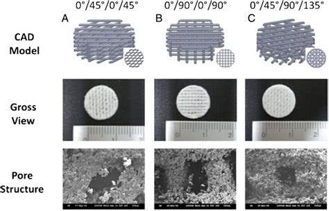 Three Views Of Scaffold Design And Outcomes CAD Models Are Simplified Download Scientific
