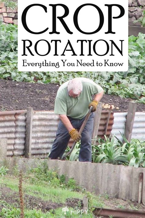 Crop Rotation Everything You Need To Know