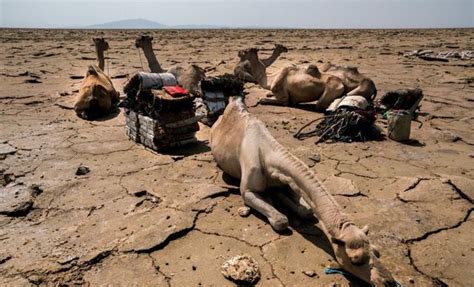 世界上常年溫度最高的地方，被稱為「地獄之門」 每日頭條