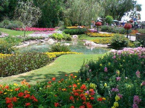 Przebieg współpracy z projektantem ogrodu