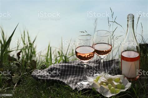 호수 근처의 피크닉 담요에 맛있는 장미 와인 치즈 포도 텍스트 공간 돗자리에 대한 스톡 사진 및 기타 이미지 돗자리 연못
