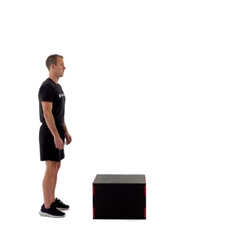 Prayer Stretch Trainwell