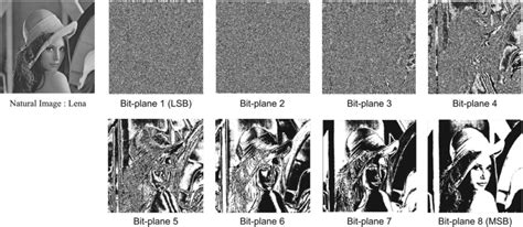 Bit‐plane Decomposition Of A Given Input Image Download Scientific
