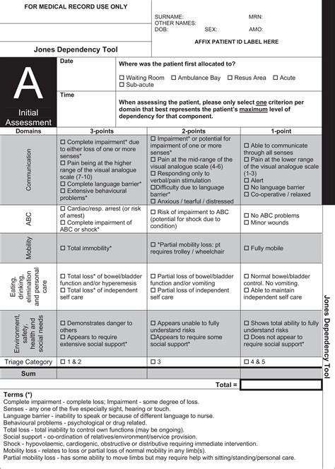 Measuring Patient Dependency—performance Of The Jones Dependency Tool