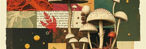 1 2 And 3 Human Microbiome Basic Characteristics Of Pathogens And Host Pathogen Interactions