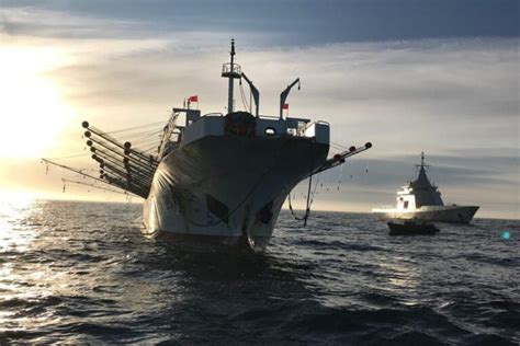 Piratas Se Roban Mil Millones De Dólares Por Año En Pesca Ilegal Del Mar Argentino