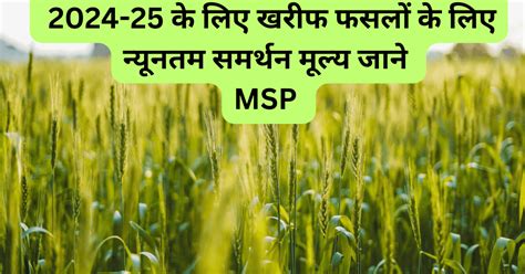 2024 25 के लिए खरीफ फसलों का Msp किसानों के लिए खुशखबरी Agriculture Lekh