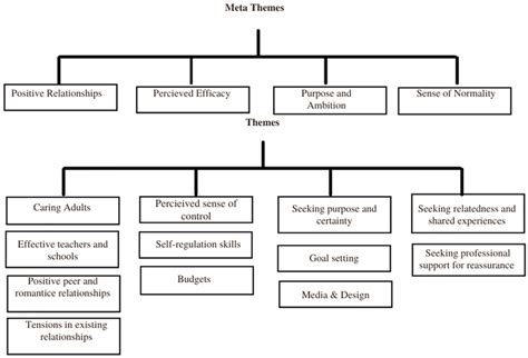 Findings Presented By Meta Themes And Themes Download Scientific Diagram