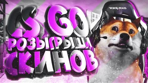 Cs Go
