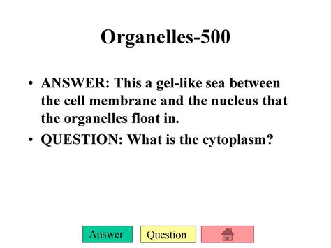 Cells Jeopardy Organelles Biochemistry Building Blocks Cell Stuff Ppt
