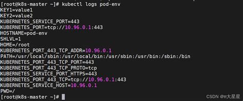 kubernetes configmap 使用方式实验 如何在容器内验证configmap csdn博客