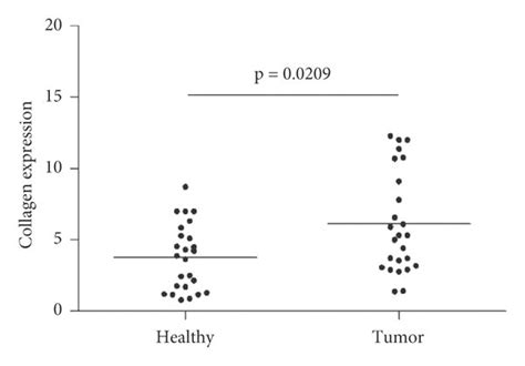 Expression Of Collagen And Ddr2 In Human Invasive Bc Masson S Download Scientific Diagram