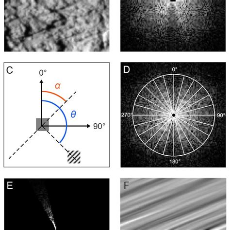 computational workflow of the fast fourier transform fft approach for