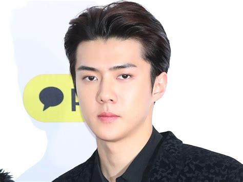 8 Things You Didn't Know About Sehun - Super Stars Bio