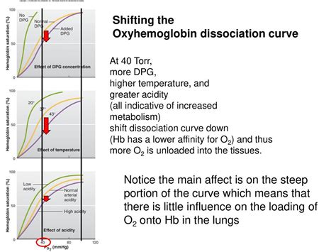 21 November 2011 Respiratory Physiology Ppt Download