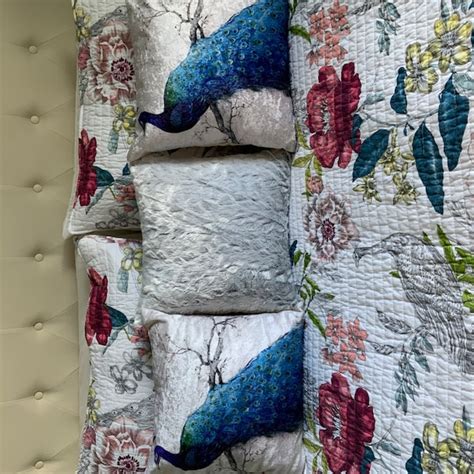 Meyer Lemon Seedling Live Lemon Tree Sapling Starter Plant From Seeds