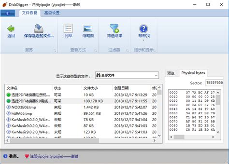 Diskdigger V1 47 83 3121 硬盘数据恢复软件多语言版 易破解