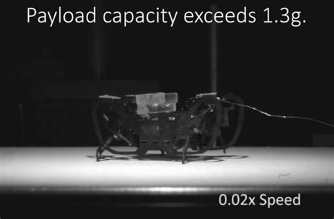 Harvards Insect Sized Hamr Robots Bug Out
