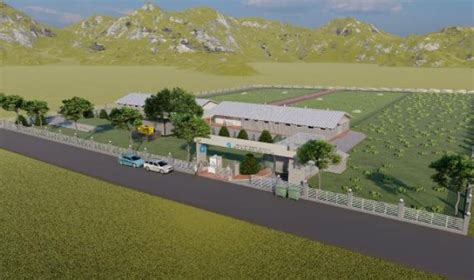 Elmalıda Gezen Tavuk çiftliği Kuruluyor GÜndem İleri Gazete