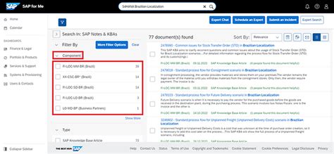 BR Localization Run SAP Better Brazil SAP NFe