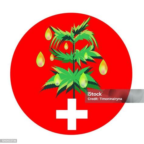마리화나 아이콘 Cbd 칸 나비 노이드 로고 마리화나 잎 오일 대마 오일 격리된 배경에 대한 벡터 그림입니다 0명에 대한 스톡
