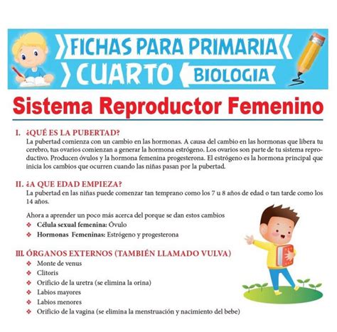 Los Seres Vivos Para Cuarto De Primaria Actividades Educativas