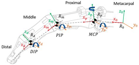 Neuroadaptive Control Of A Continuum Robot For Finger Rehabilitation