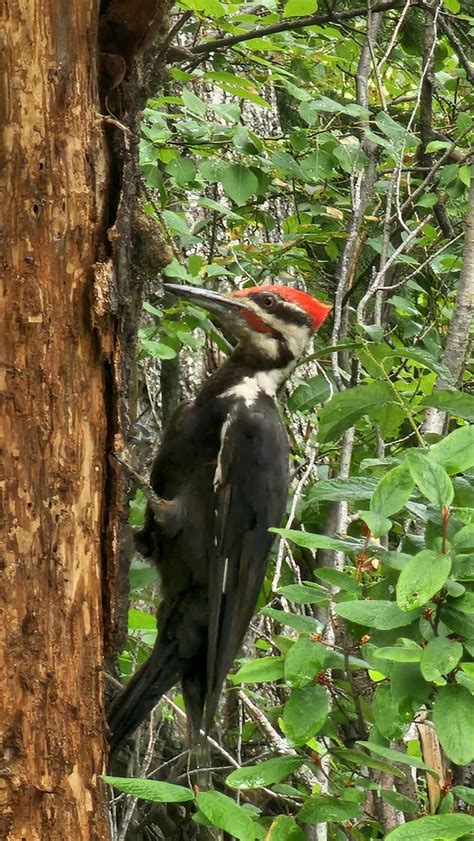 Mike Justin Strand Edson Ab Facebook