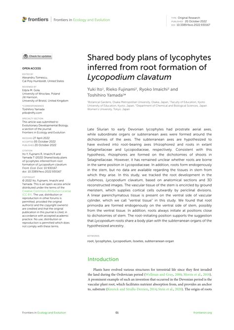 Pdf Shared Body Plans Of Lycophytes Inferred From Root Formation Of