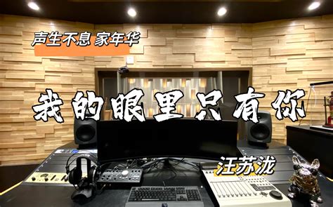 在百万录音棚听声生不息家年华 汪苏泷《我的眼里只有你》 Rheamusic Rheamusic 哔哩哔哩视频