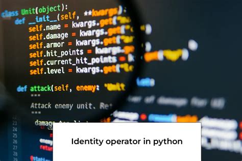 Identity Operator In Python Types With Example