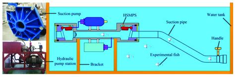 Principle Diagram Of Suction Test Download Scientific Diagram
