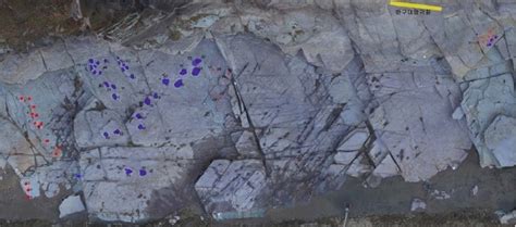 울주 대곡리 반구대 암각화 81여개 발자국 화석 발견