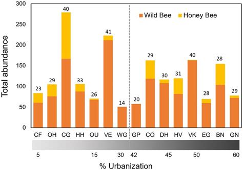Bee Abundance Bars And Species Richness Numbers Above Bars Across