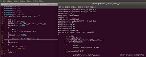 Io进程——父子进程 Csdn博客