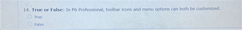 Solved True Or False In P Professional Toolbar Icons And Chegg Com