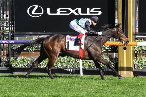 Mr Brightside Ready For Champions Tilt Colossalbet Blog