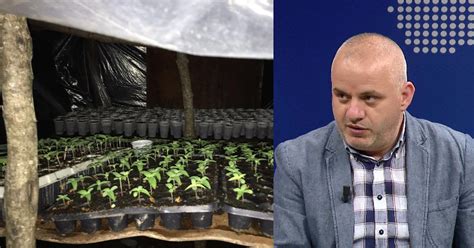 ‘urdhëri Nga Lart Sdo Ti Afrohet Kush Malit Artan Hoxha Bën